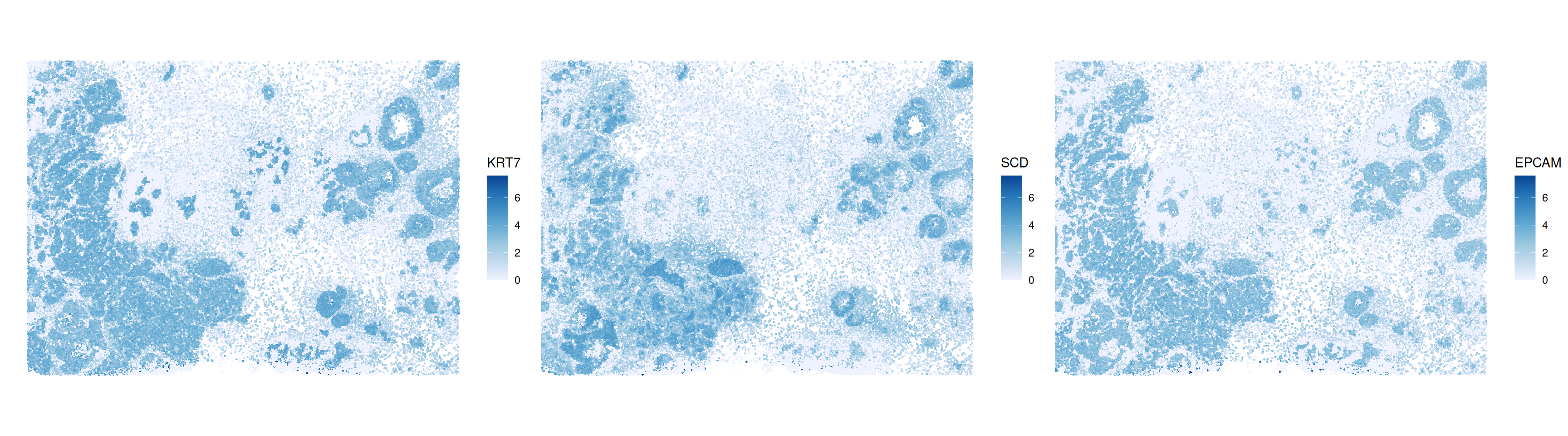 31 Spatial statistics – Orchestrating Spatial Transcriptomics Analysis ...